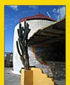 Bar Cactus Tinos island Greece Bar Kaktos